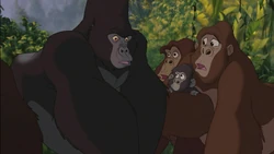 Kerchak Vs Tublat