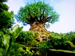 Tree of Life | Disney Wiki | Fandom