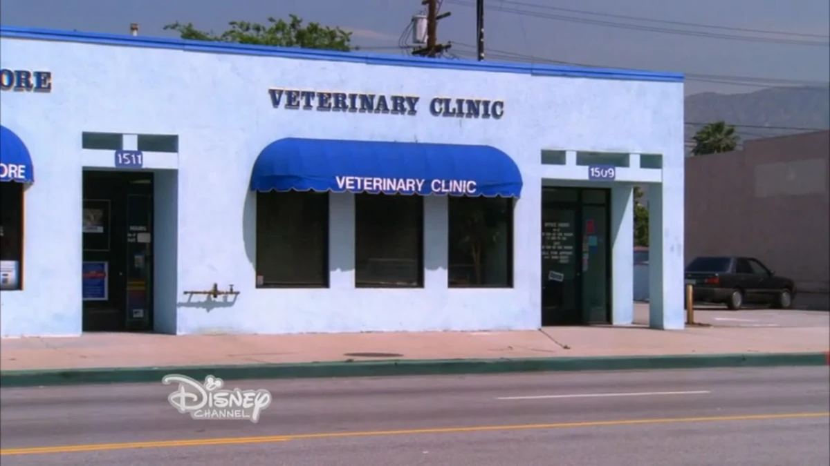 Veterinary Clinic | Disney Wiki | Fandom