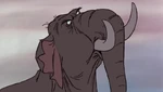 Colonel Hathi/Gallery | Disney Wiki | Fandom