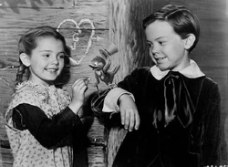 Luana Patten Biography Luana Patten | Disney Wiki | Fandom