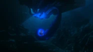 Giant Squid (Finding Nemo) | Disney Wiki | Fandom