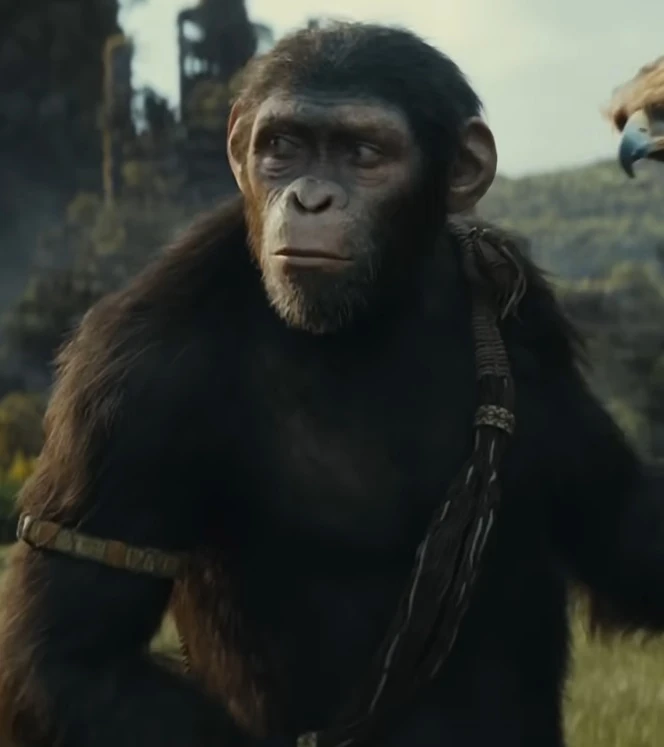 Noa | Disney Wiki | Fandom