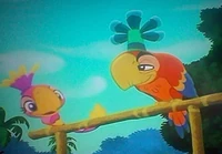 Wise Old Parrot | Disney Wiki | Fandom