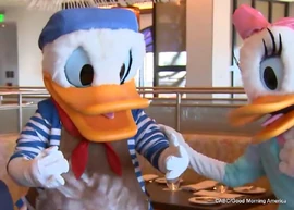 Donald and Daisy Costumes Through the Years | Disney Wiki | Fandom