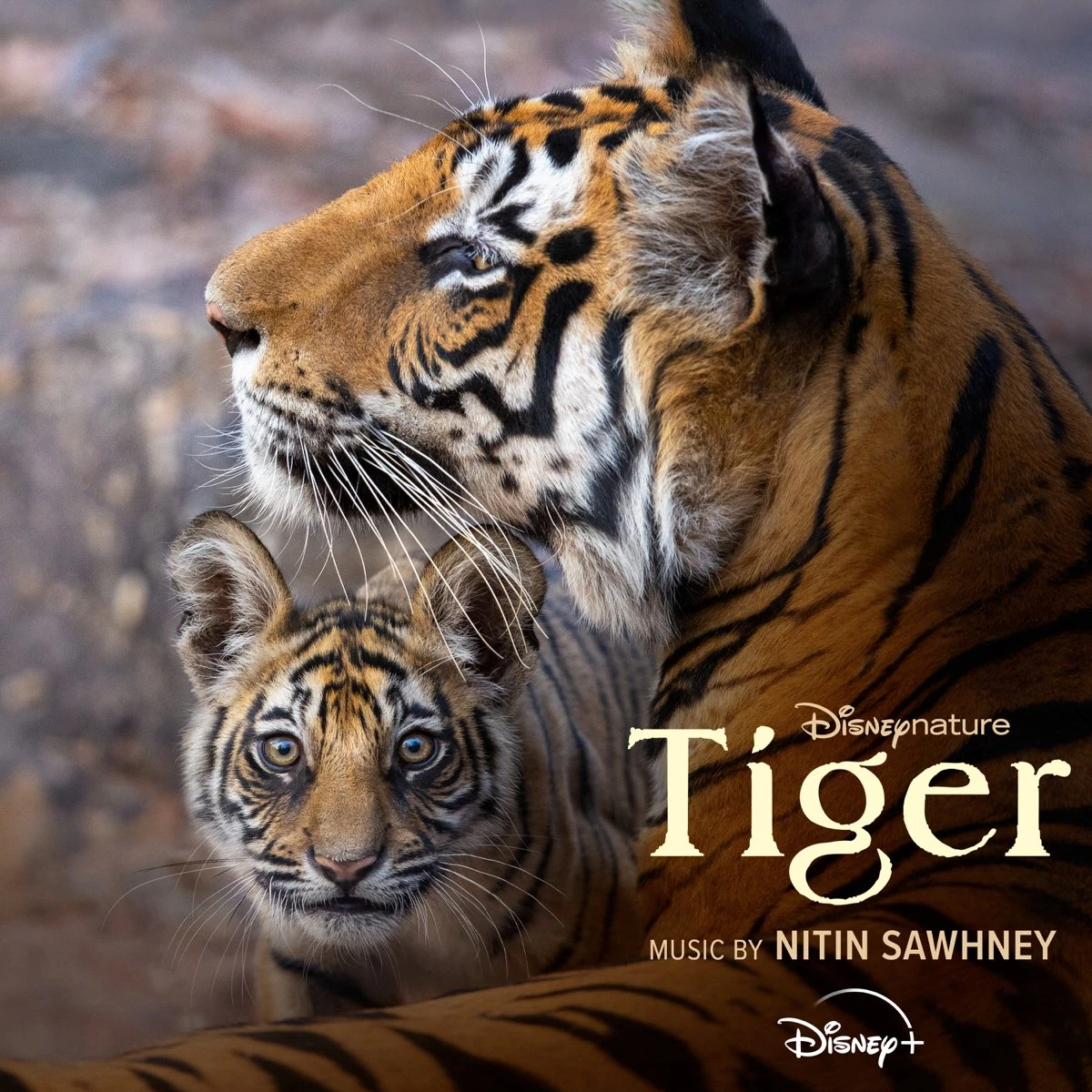 Tiger (soundtrack) | Disney Wiki | Fandom
