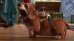 Buster | Disney Wiki | Fandom