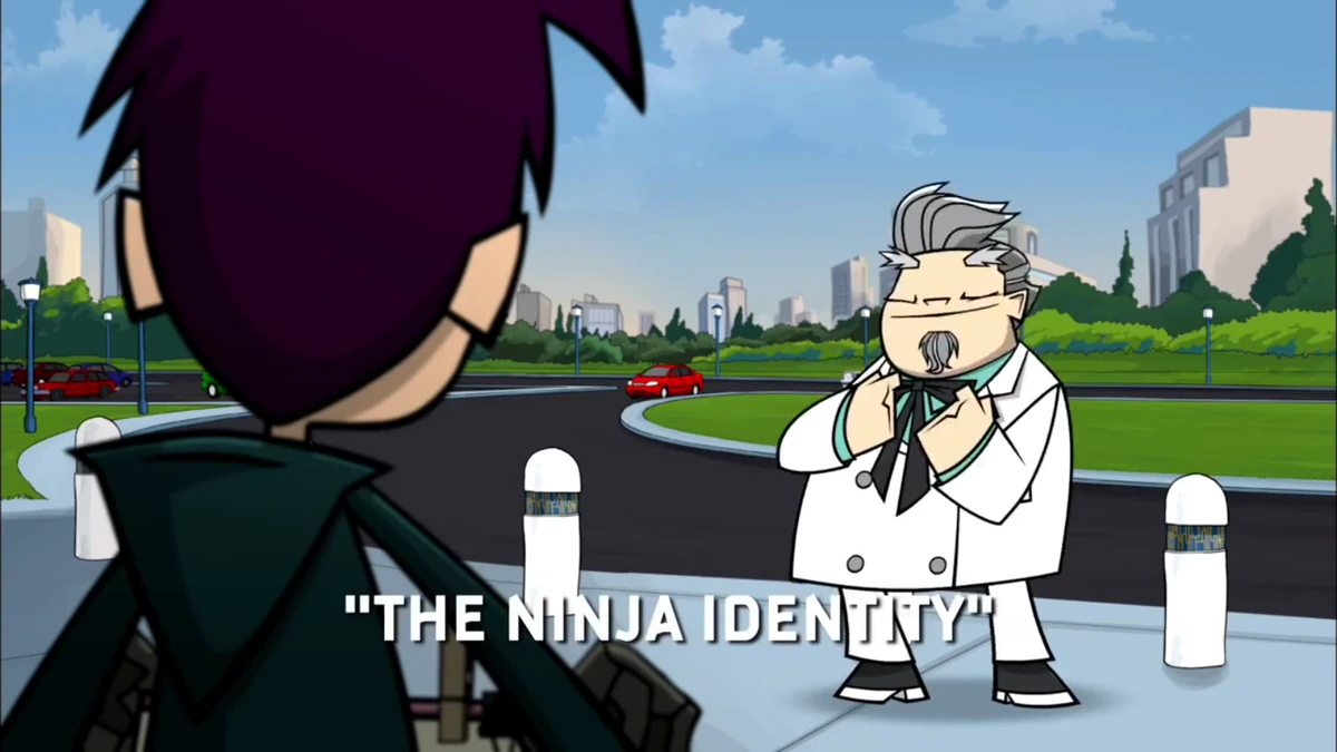 The Ninja Identity | Disney Wiki | Fandom