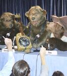 The Country Bears | Disney Wiki | Fandom