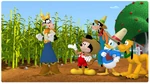 Mickey and Donald Have a Farm | Disney Wiki | Fandom