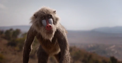 Rafiki | Disney Wiki | Fandom