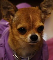 Lala | Disney Wiki | Fandom