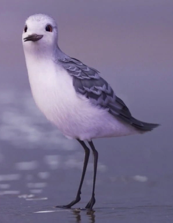 Piper's Mother | Disney Wiki | Fandom