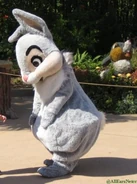 Thumper Costumes Through The Years | Disney Wiki | Fandom