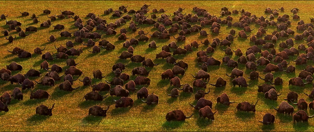 Longhorn Bison | Disney Wiki | Fandom