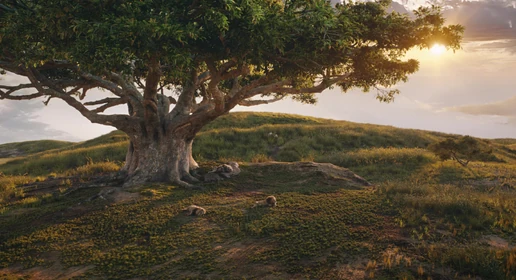 Shade Tree | Disney Wiki | Fandom