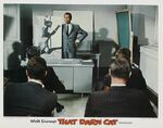 That Darn Cat! (1965 film) | Disney Wiki | Fandom