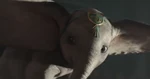 Dumbo | Disney Wiki | Fandom