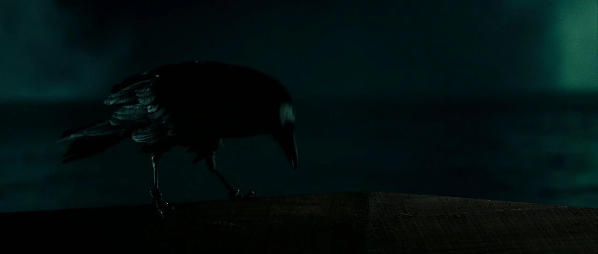 Prison Ravens | Disney Wiki | Fandom