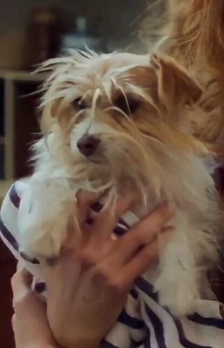 Sparky | Disney Wiki | Fandom