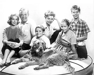 Tim Rooney | Disney Wiki | Fandom