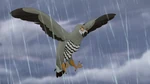 Mpishi | Disney Wiki | Fandom