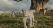 Kiros' Pride | Disney Wiki | Fandom
