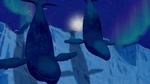 Humpback Whales/Gallery | Disney Wiki | Fandom