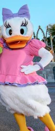 Donald and Daisy Costumes Through the Years | Disney Wiki | Fandom
