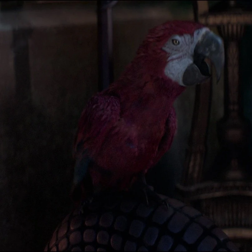 Iago | Disney Wiki | Fandom