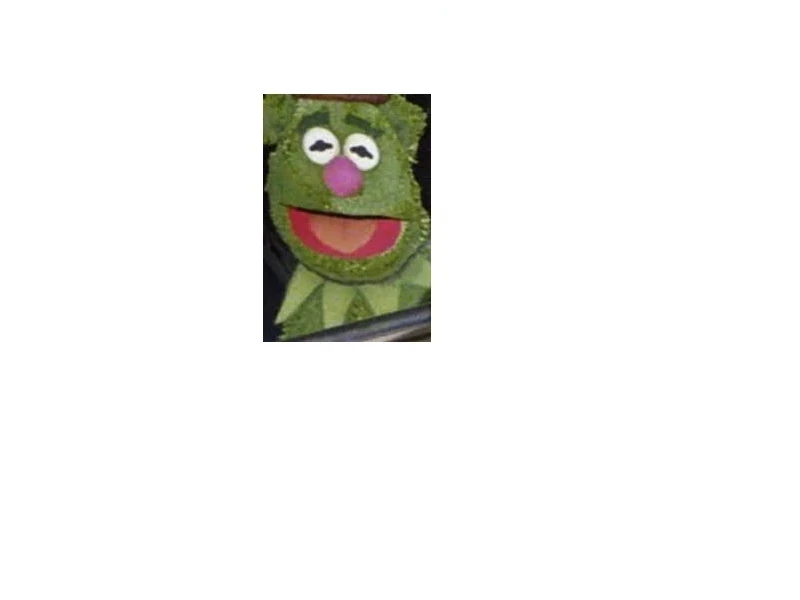 Kermit and fozzie's son Actor | Disney Channel Fanon Wiki | Fandom