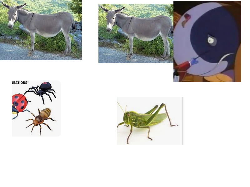 Aladdin aeraa | Disney Channel Fanon Wiki | Fandom