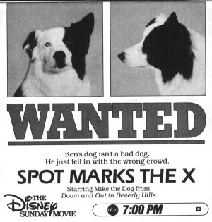 Spot Marks the X | Disney Channel Wiki | Fandom
