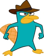 Perry the Platypus/Gallery | Disney Channel Wiki | Fandom