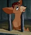 Pedro | Disney Characters Wiki | Fandom