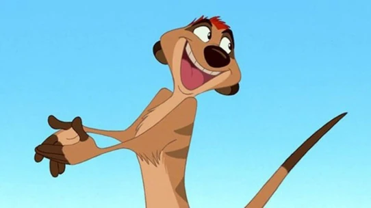 Timon | Disney Characters Wiki | Fandom