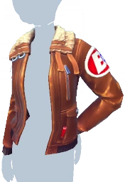 Blouson d'aviateur BnL brun | Wiki Disney Dreamlight Valley FR | Fandom