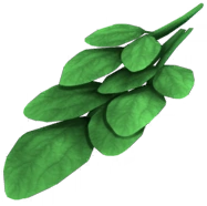 Basil | Disney Dreamlight Valley Wiki | Fandom