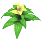 Bromélia jaune | Wiki Disney Dreamlight Valley FR | Fandom