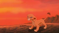 Vitani/Gallery | Disney Fanon Wiki | Fandom