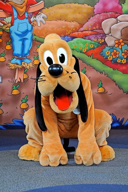 Pluto/Gallery/Disney Parks and Live Appearances | Disney Fanon Wiki ...