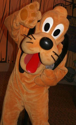Pluto/Gallery/Disney Parks and Live Appearances | Disney Fanon Wiki ...