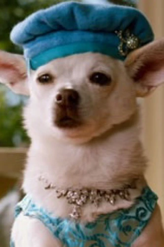 Chloe | Disney Fanon Wiki | Fandom