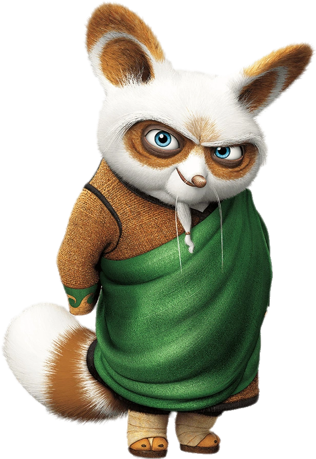 Shifu Kung Fu Panda