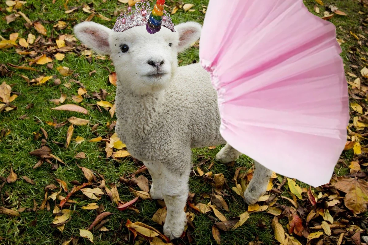 Tinkles | Disney Fanon Wiki | Fandom