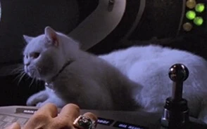 MAD Cat | Disney Fanon Wiki | Fandom