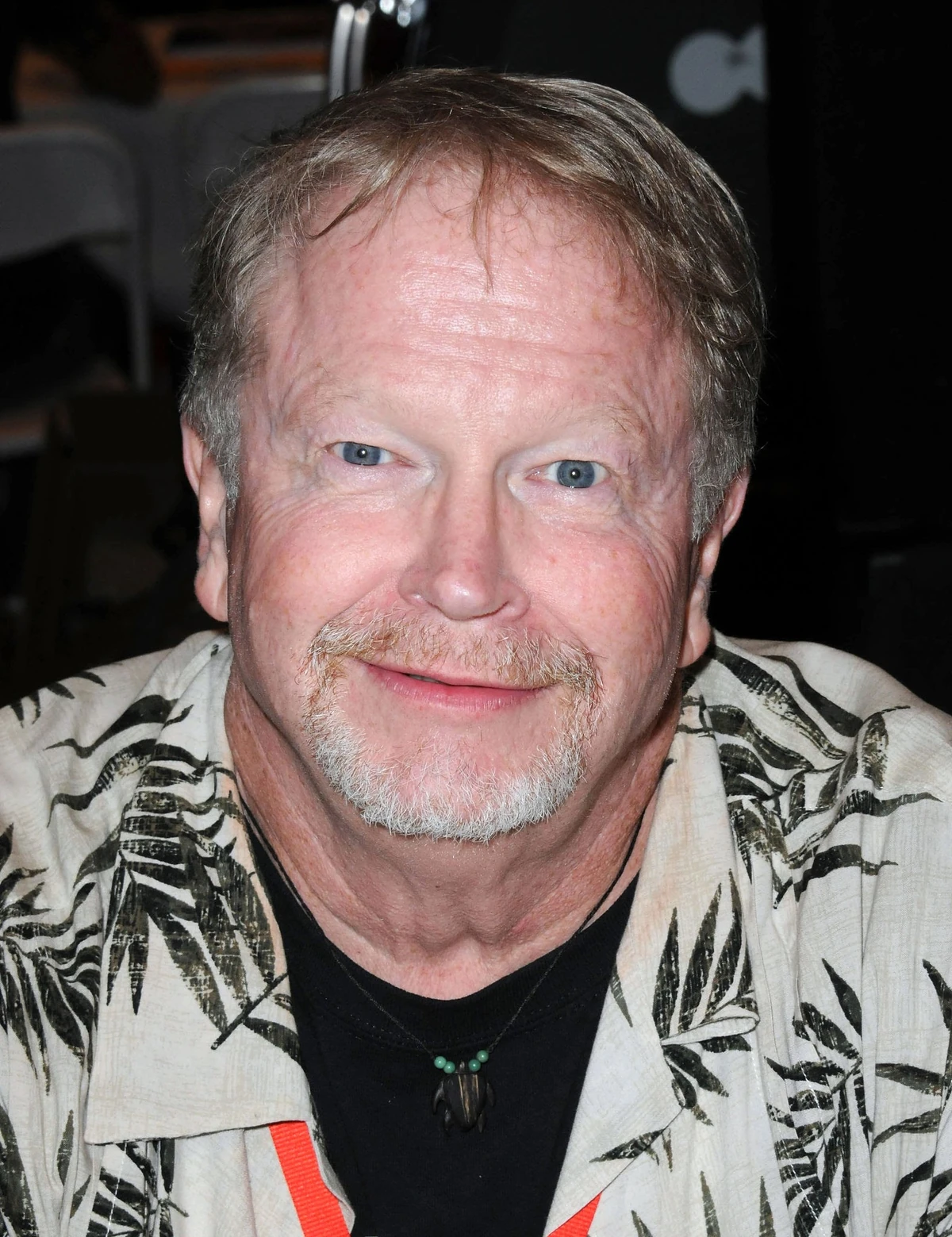 David Stenstrom | Disney Fanon Wiki | Fandom