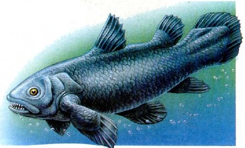 Cyril (The Little Merman) | Disney Fanon Wiki | Fandom