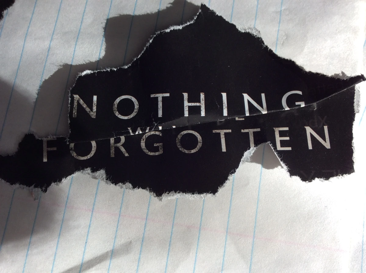 Nothing Forgotten | Disney Fanon Wiki | Fandom