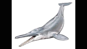 Terrador | Disney Fanon Wiki | Fandom